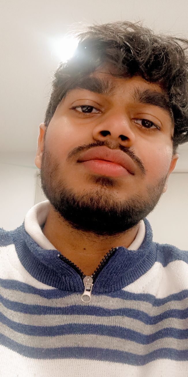 Parth Sarthi: portfolio